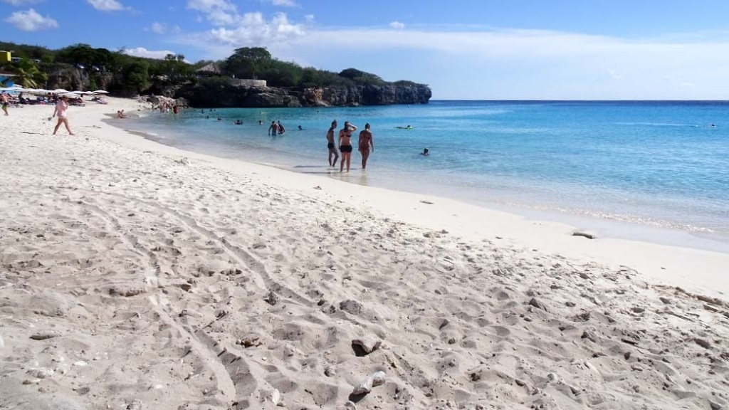 Kenepa Grandi - Grote Knip - Beloved by young and old