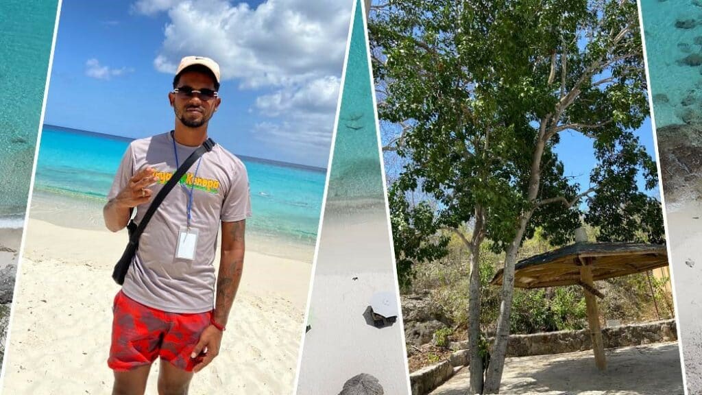 Kenepa Chiki - Kleine Knip - It couldn't be whiter and finer ...