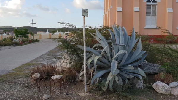 How to get around in Curacao - the best transport on the island